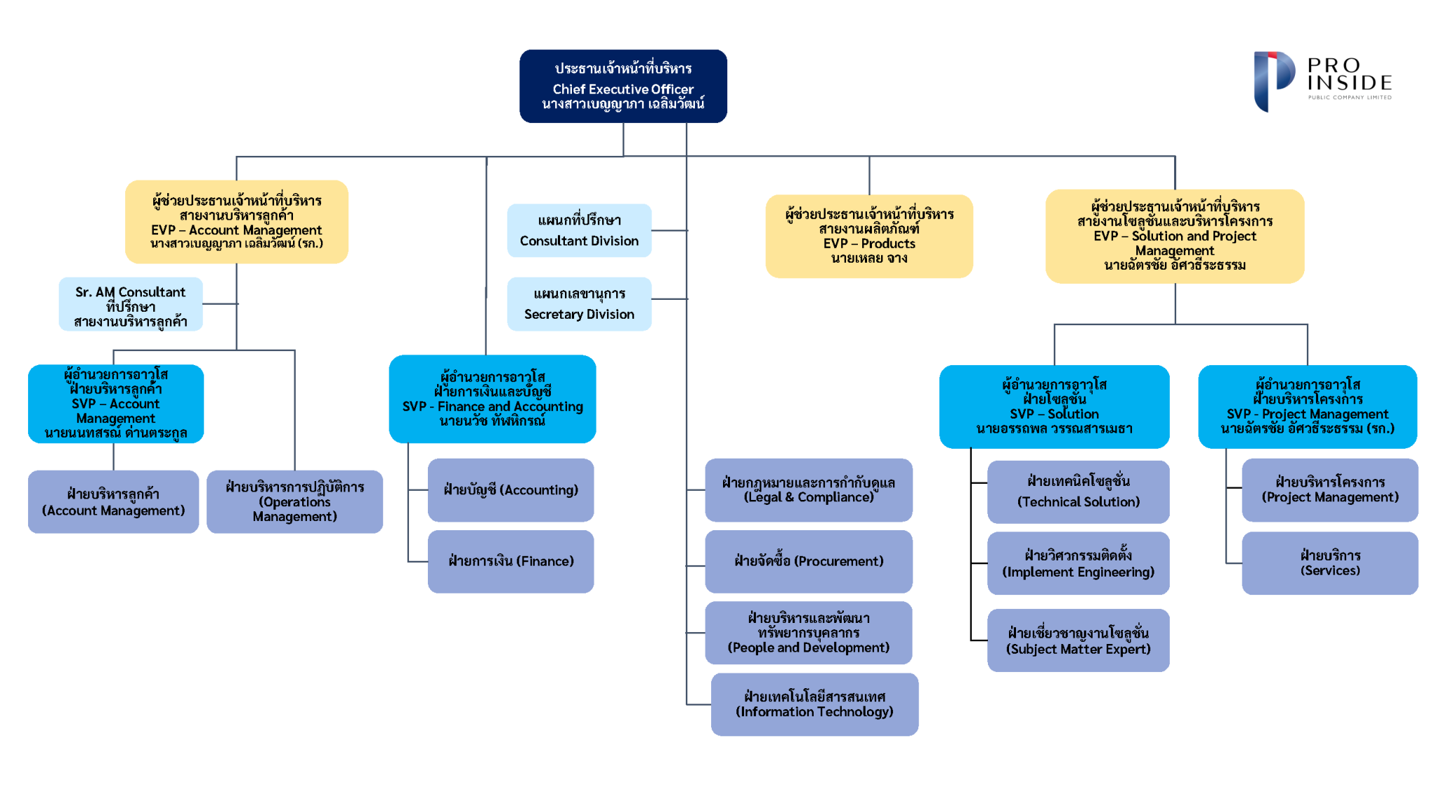 Organizational Structure - PRO INSIDE PUBLIC COMPANY LIMITED